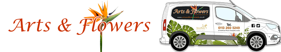 Arts & Flowers Leeds Florist - Shop Online or 0113 260 5249