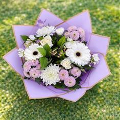 Lilac breeze
